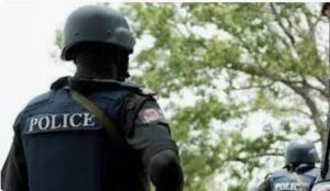 Enugu Police Raid Criminal Hideouts, Arrest Suspect, Destroy Drug Bunks ...